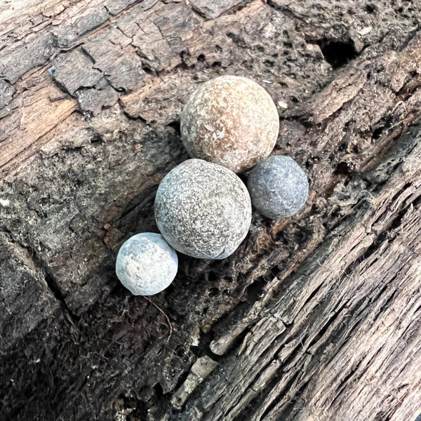 1715 Fleet Artifact - Musket Ball Shot - Shipwreck Treasures of the Keys